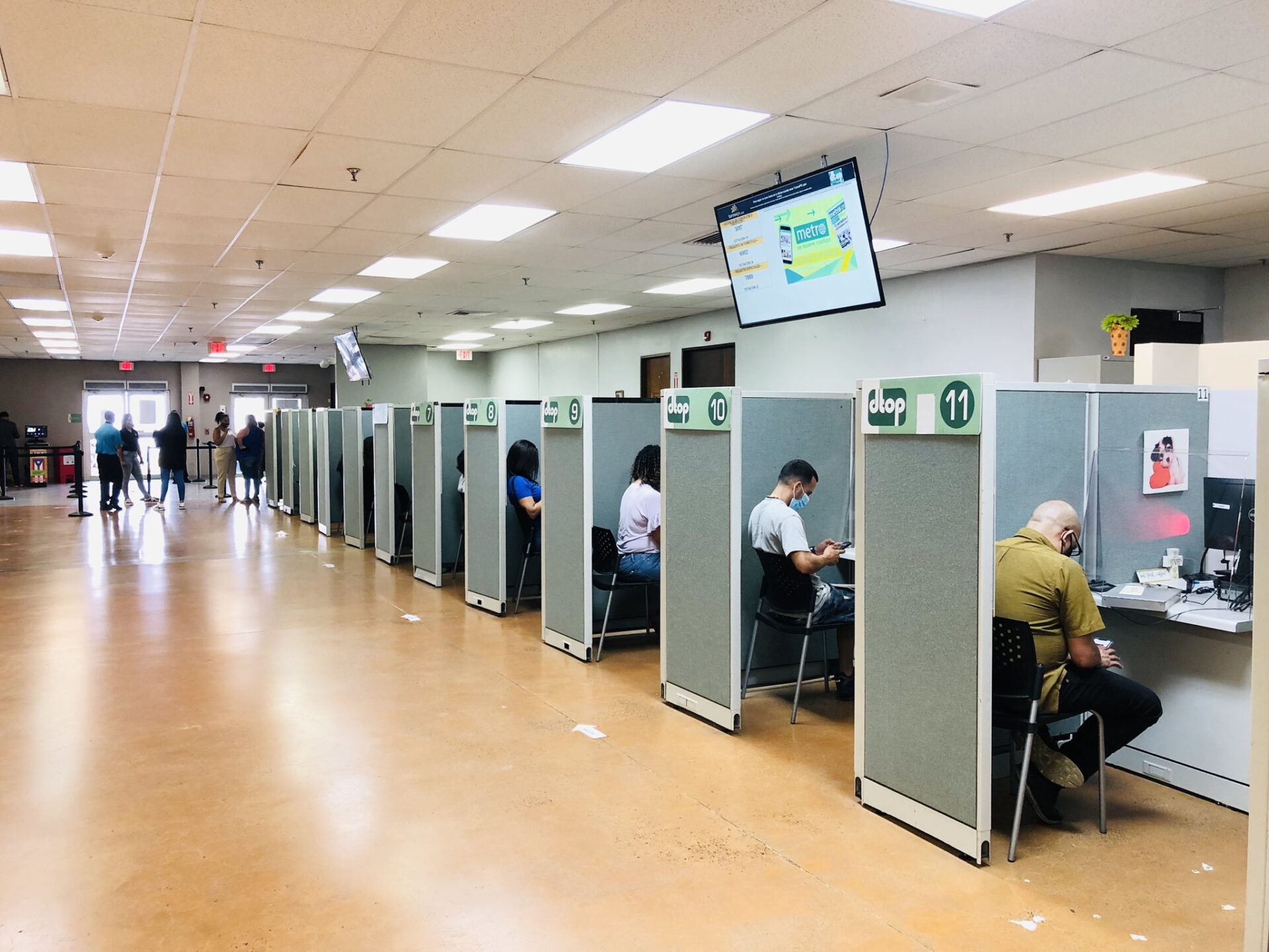 DTOP anuncia disponibilidad de marbetes en colecturías - WIPR