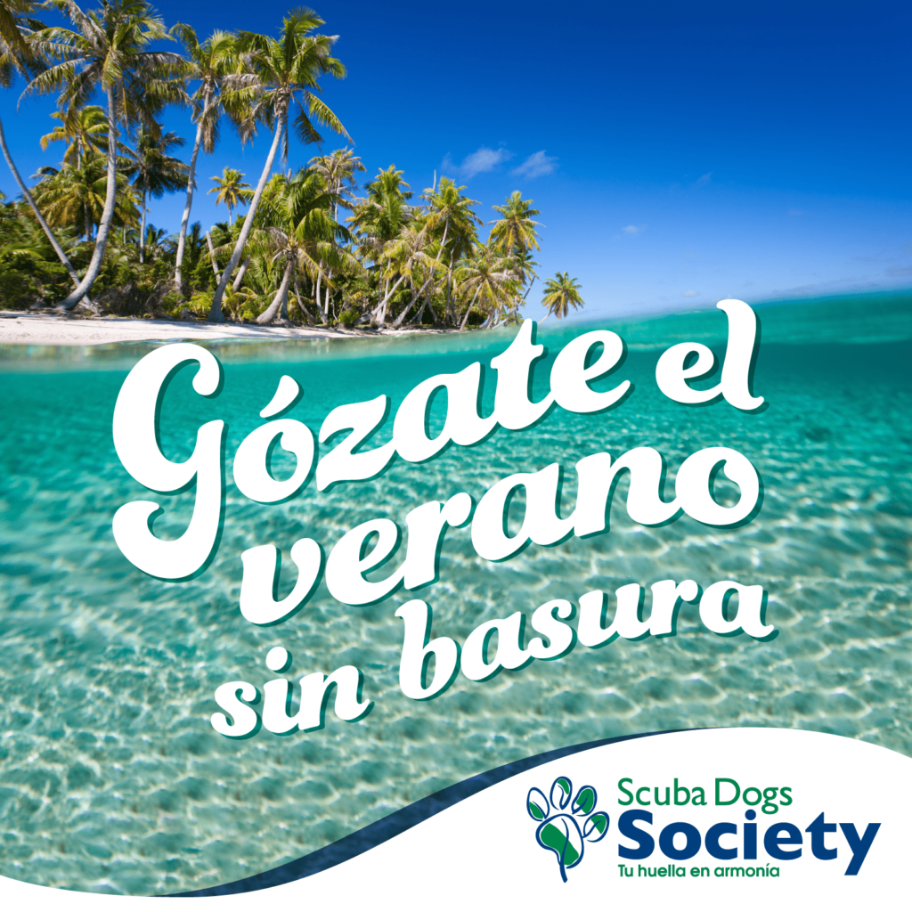 Scuba Dogs Society lanza nueva campaña educativa: "Gózate el verano sin ...
