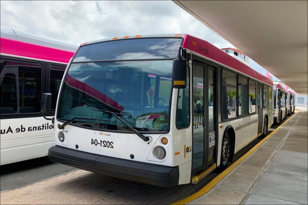 La AMA operará con normalidad en Semana Santa - WIPR