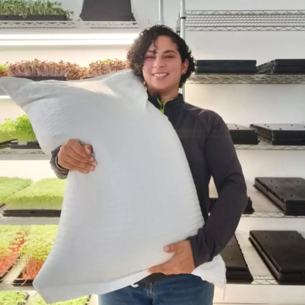 Agricultora boricua promueve los beneficios del cultivo y consumo de los "microgreens" - WIPR