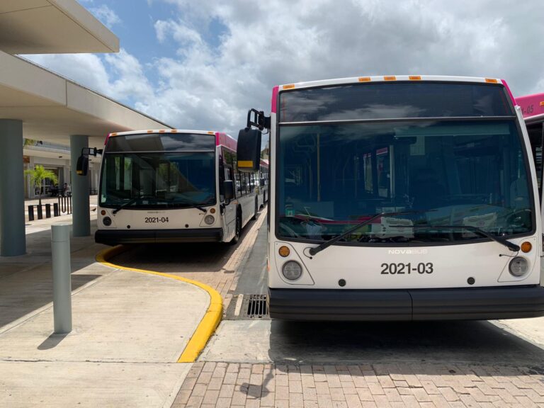 AMA estrena aplicación para saber dónde viene la guagua y cuánto falta ...